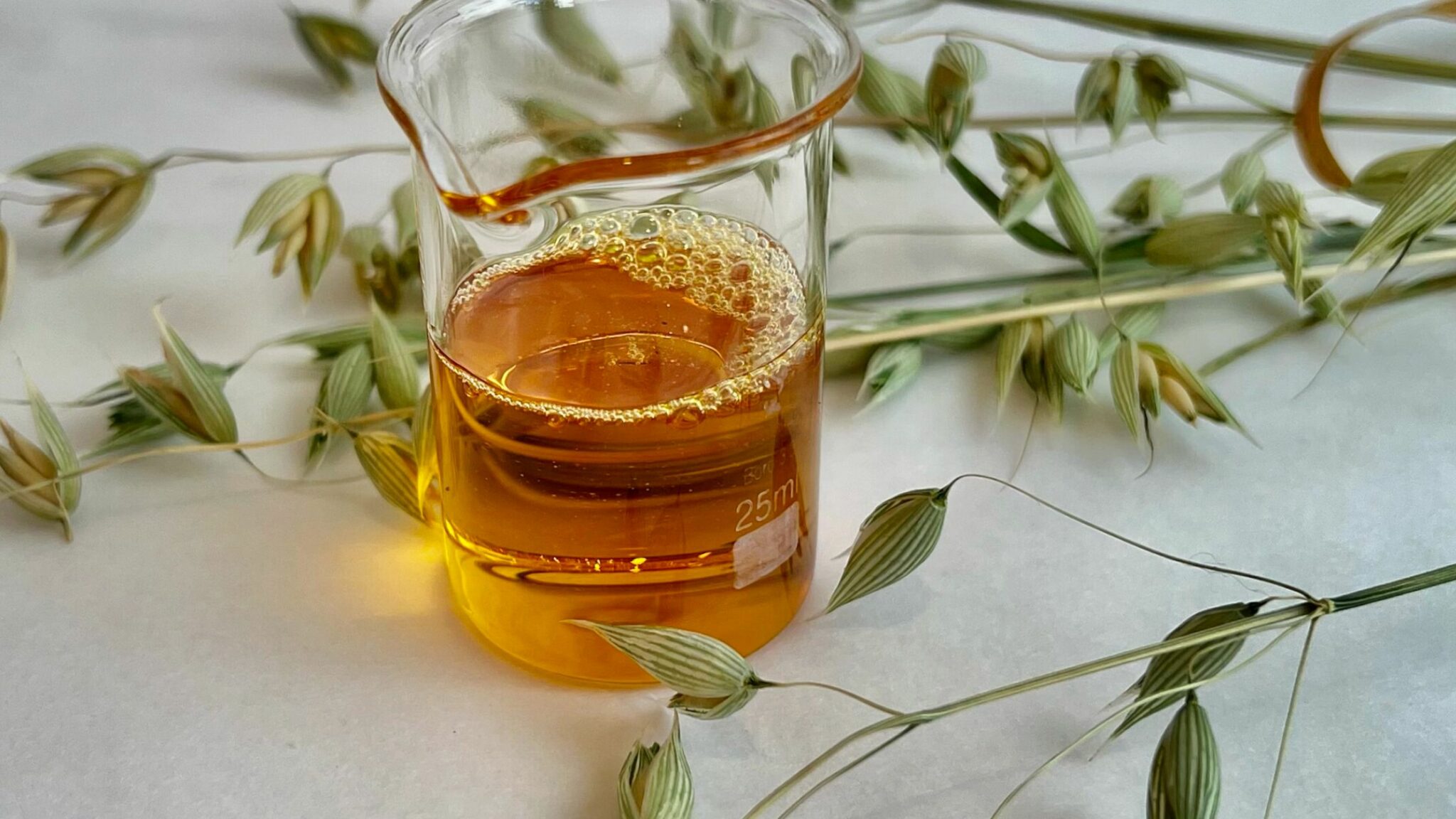 Carrier Oils: The Complete List – The Lipid Oils Academy