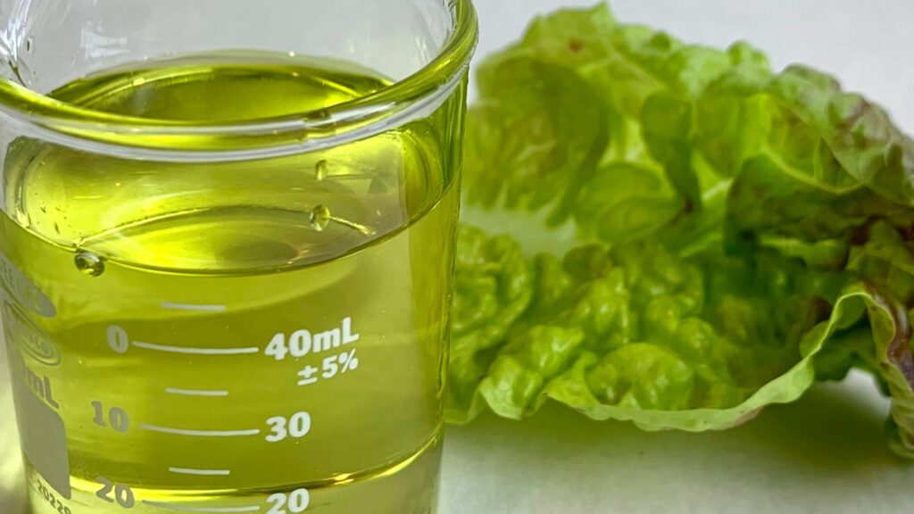 Carrier Oils: The Complete List – The Lipid Oils Academy