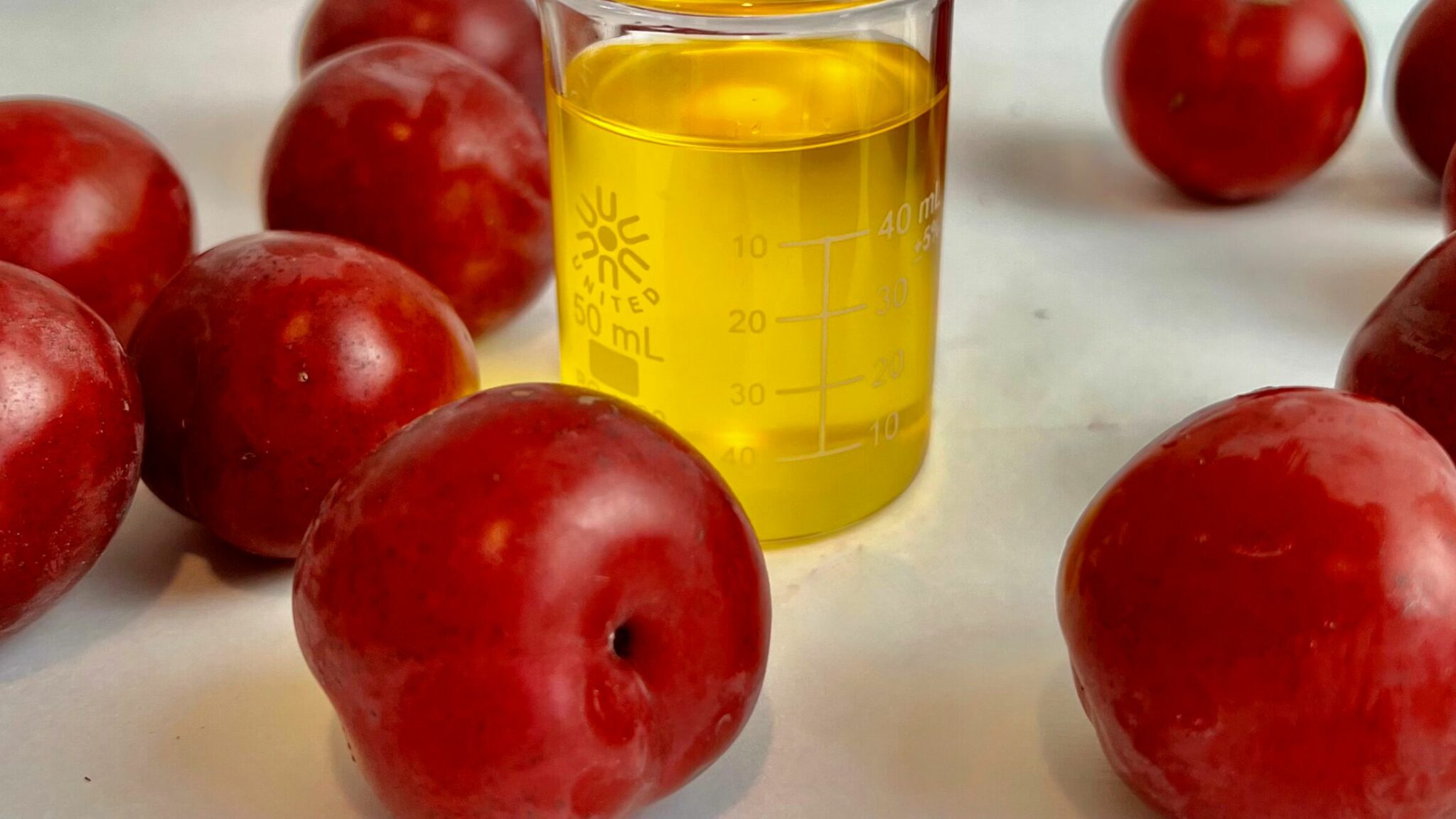 Carrier Oils: The Complete List – The Lipid Oils Academy