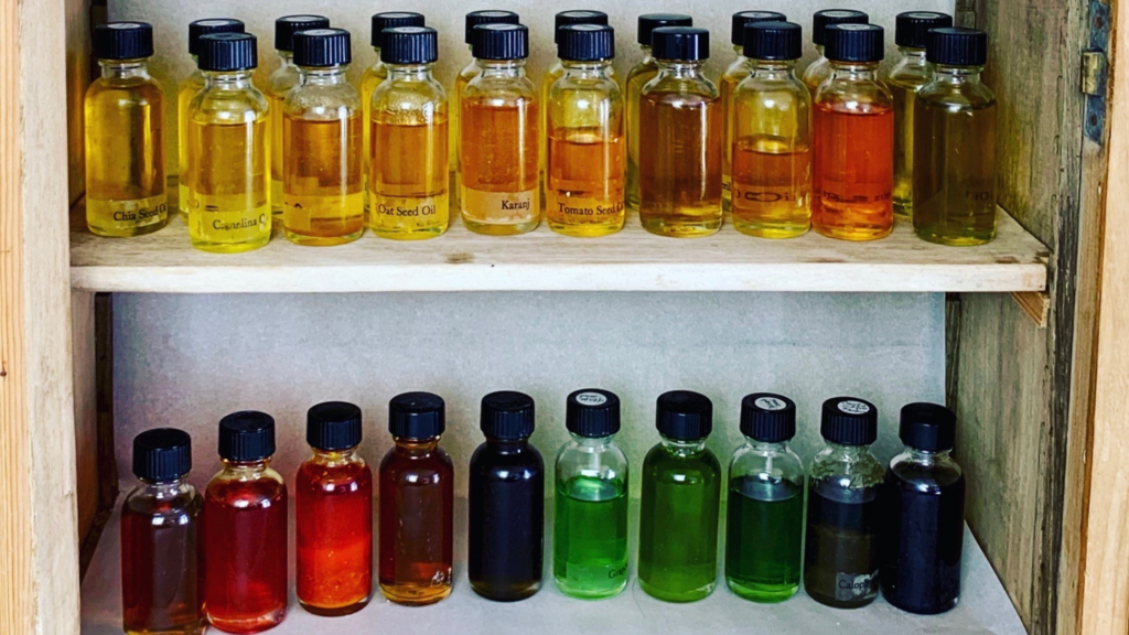 Carrier Oils: A Guide to Uses & Benefits – The Lipid Oils Academy