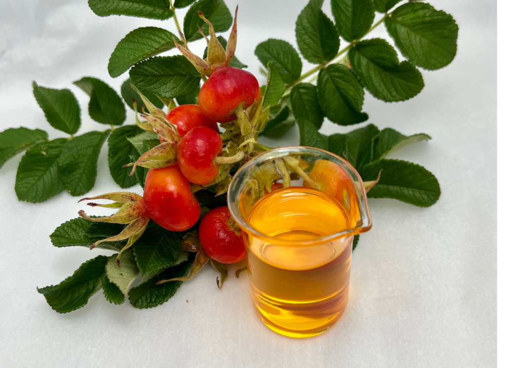 8 Carrier Oils from the Rose Family – The Lipid Oils Academy