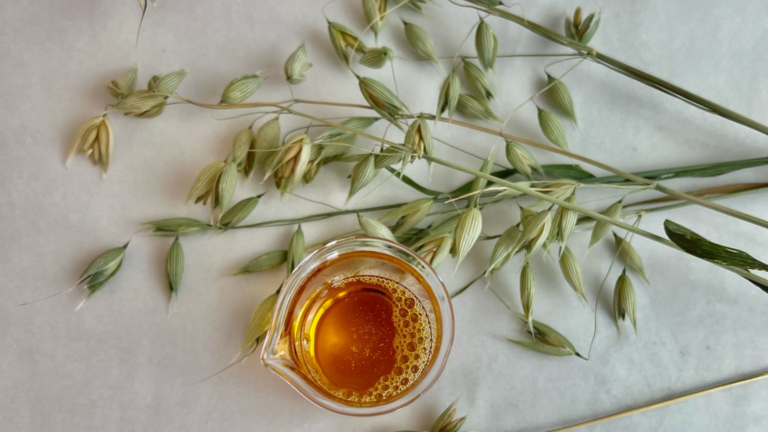 Lipids Decoded Registration – The Lipid Oils Academy