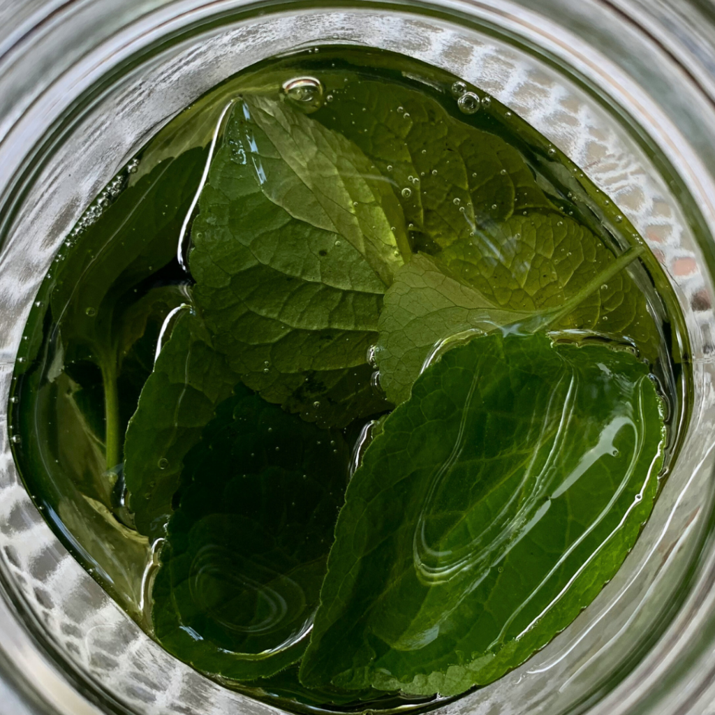 Oils for Infusing Botanicals – The Lipid Oils Academy